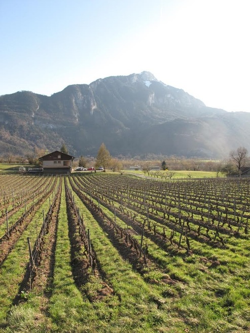 Ayze, Savoie Domaine Belluard : Mountain Wine – Traveling By The Glass ...