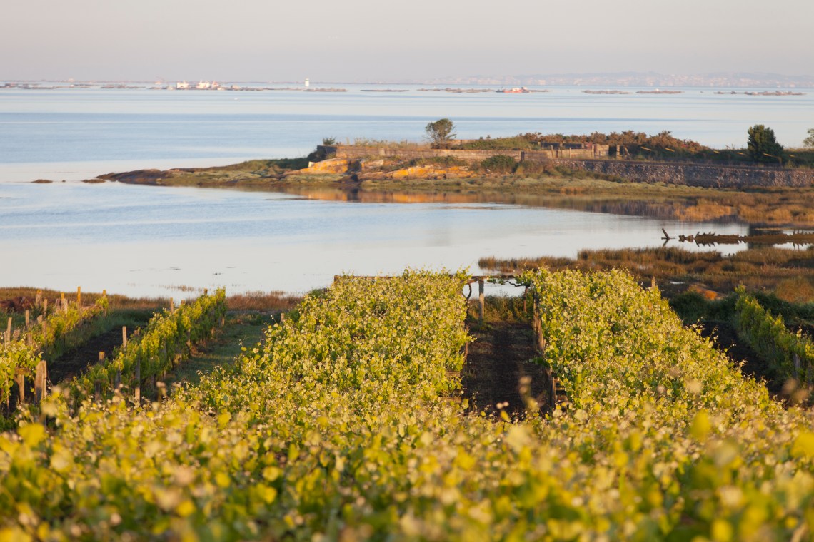 Rias Baixas: The Land of Albariño – Traveling By The Glass – Posts by ...